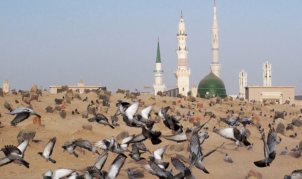 Have Love Like Birds • Nur Muhammad Realities Biography Islam Allah ...