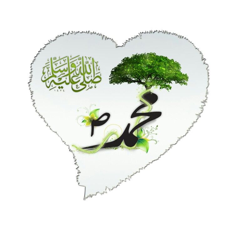 A Seed is Annihilated in the Soil to Become a Tree. The Tree is a ...