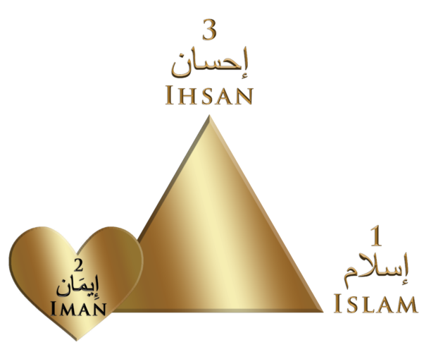 Opening the 7 Points of the Head a Gateway to the 9 Points of the Body ...